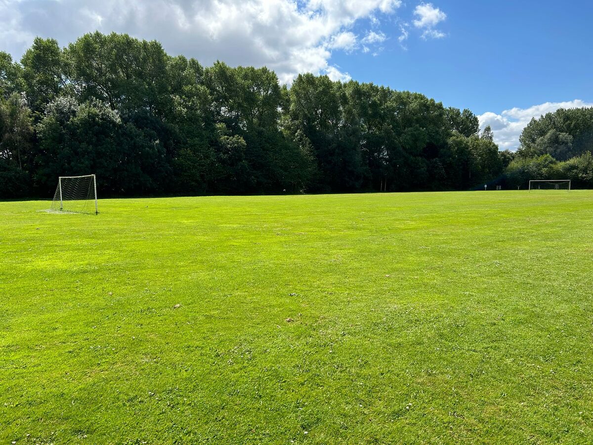 Grass Football Pitch for hire in Wolverhampton - EDU